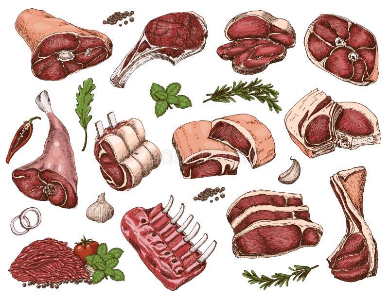 Lunch Meats Stock Illustrations – 6,170 Lunch Meats Stock Illustrations ...