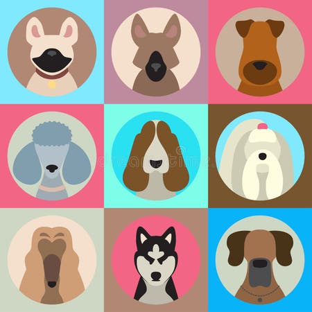 Vector Set of Different Dog Breeds App Icons in Flat Style Stock Vector ...