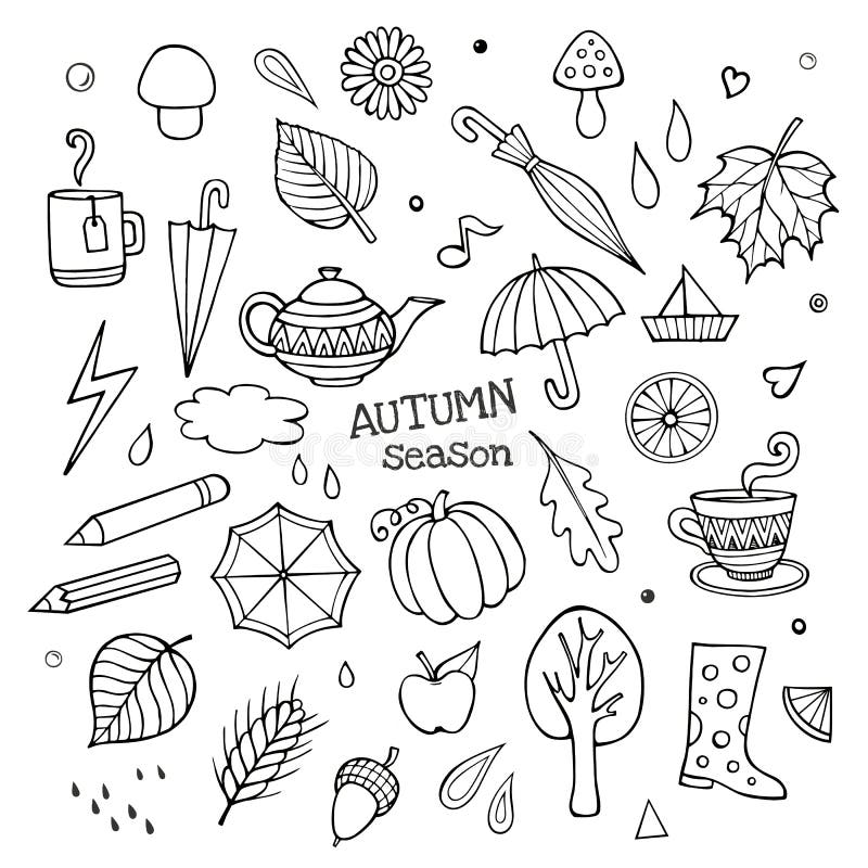 Vector Set of Different Hand Drawn Autumn Elements Stock Vector ...