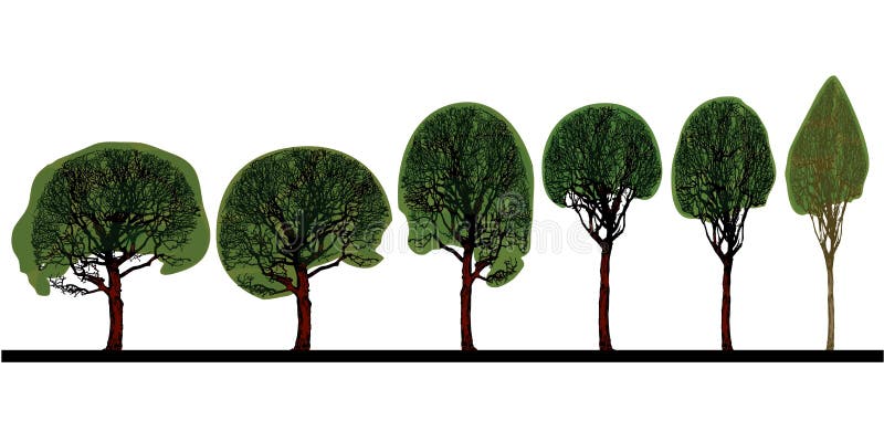 Vector Set of Different Trees. the Theme of Nature Stock Vector ...