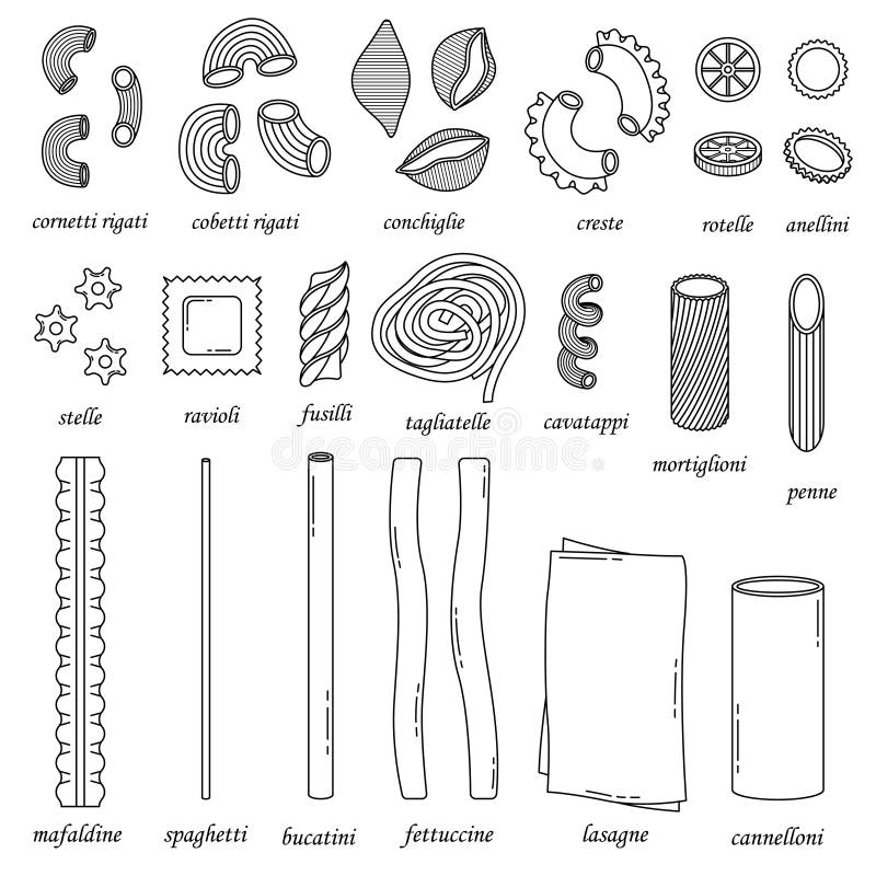The Vector Set of Different Types of Italian Pasta. Line Art and Simple ...