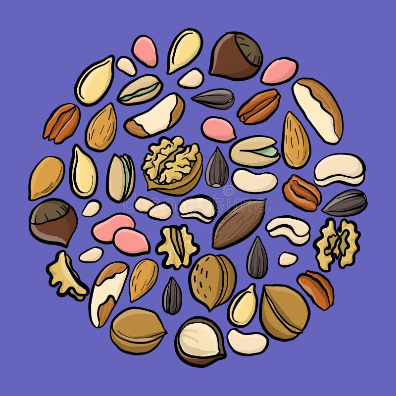 Nuts, Drawn with Colored Pencils Stock Vector - Illustration of ...