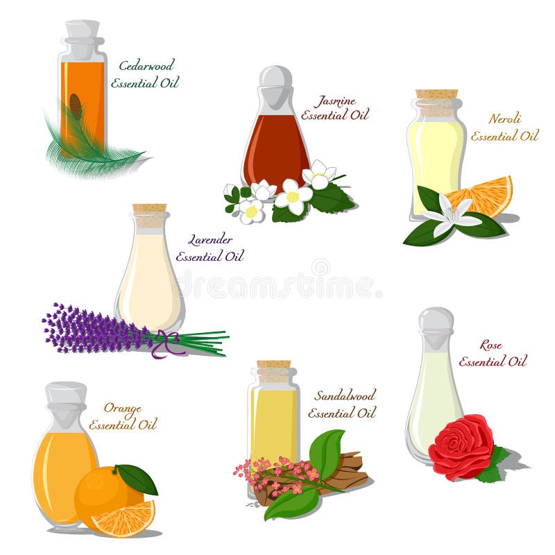 Vector Set of Essential Oils Stock Vector - Illustration of lifestyles ...