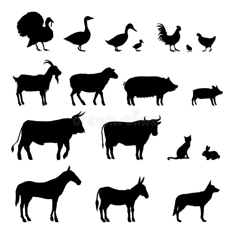 Vector Set of Farm Animals Silhouettes. Collection of Rustic Pets Stock ...