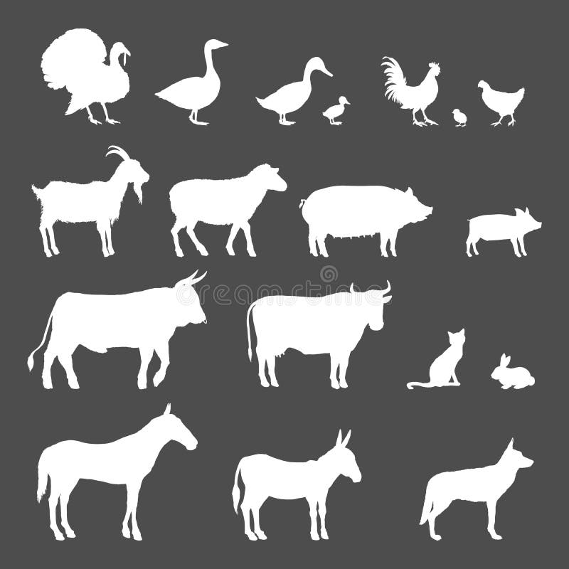 Vector Set of Farm Animals White Silhouettes Stock Vector ...