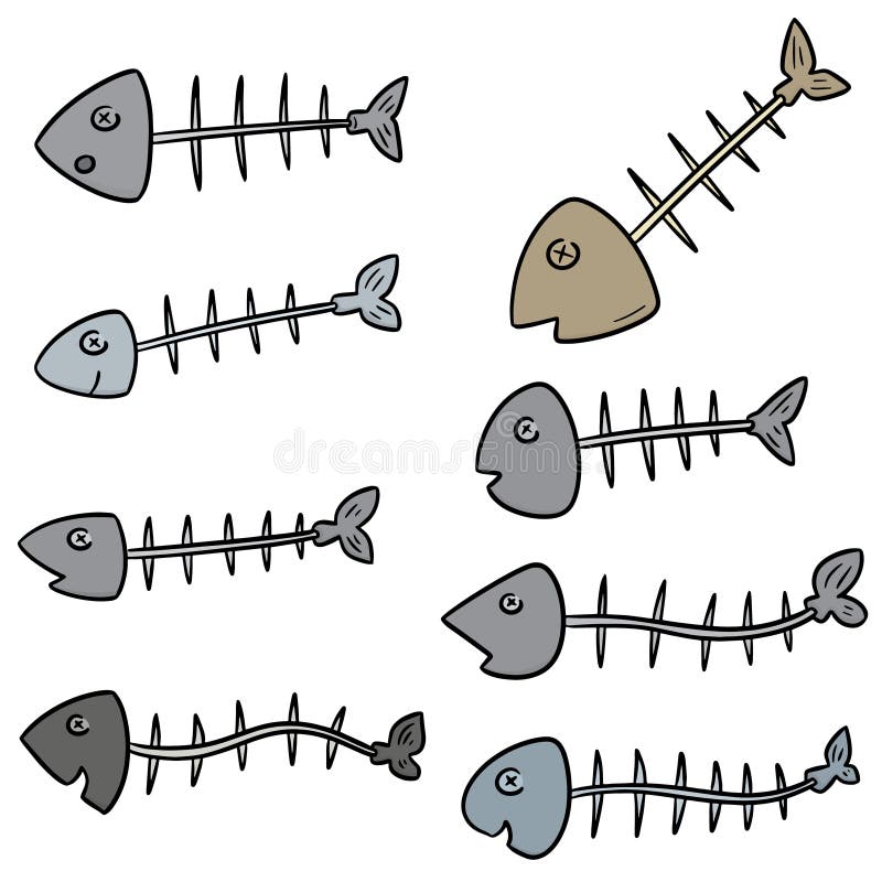 Vector set of fishbone stock vector. Illustration of food - 144520512