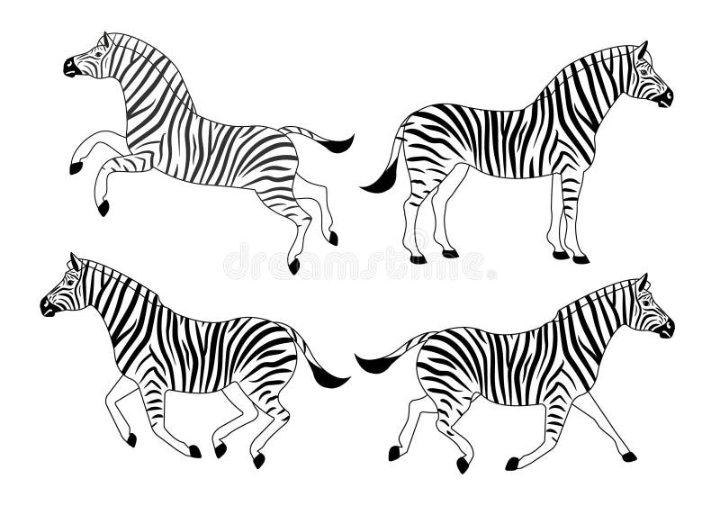 Vector Set of Flat Hand Drawn Outline Zebra Stock Vector - Illustration ...