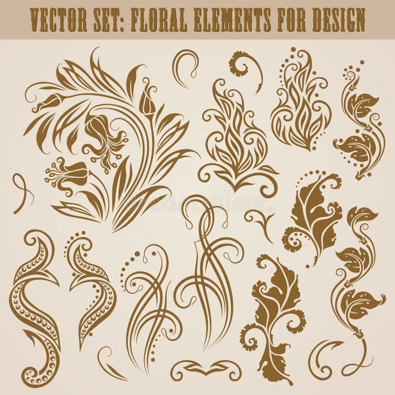 Set of Ornate Floral Element Stock Vector - Illustration of ornate ...
