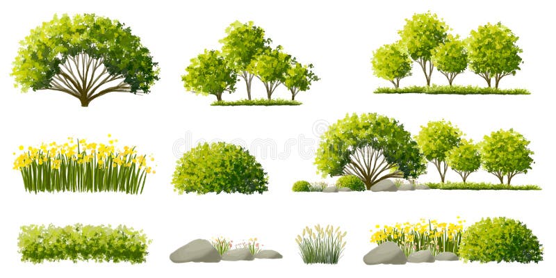 Vector Set of Flower Tree Side View Isolated on White Background for ...