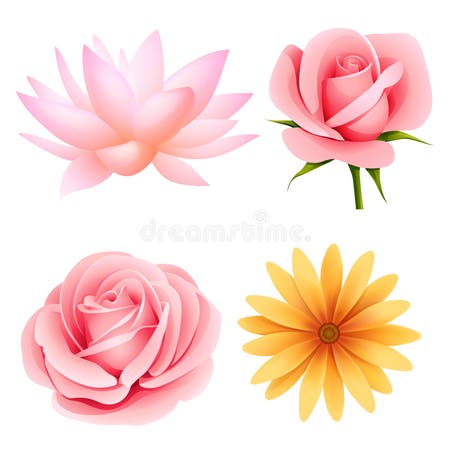 Vector Set of Four Flowers Isolated on White Stock Vector ...