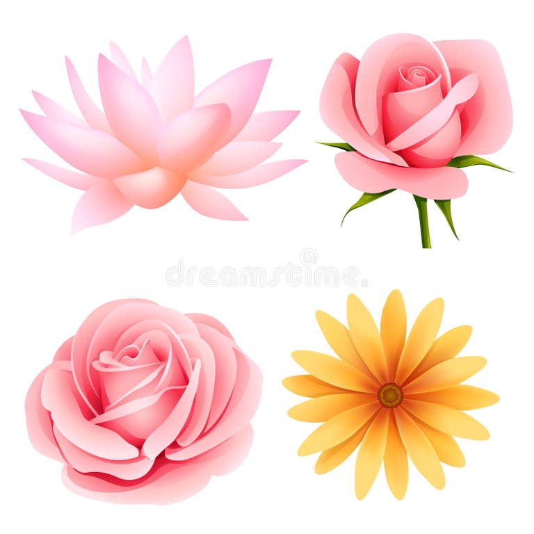 Vector Set of Four Flowers Isolated on White Stock Vector ...