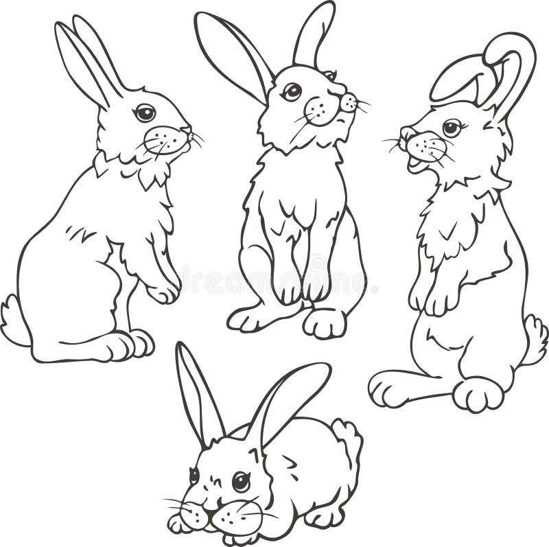 Vector Set of Four Rabbits in Different Postures. Stock Vector ...