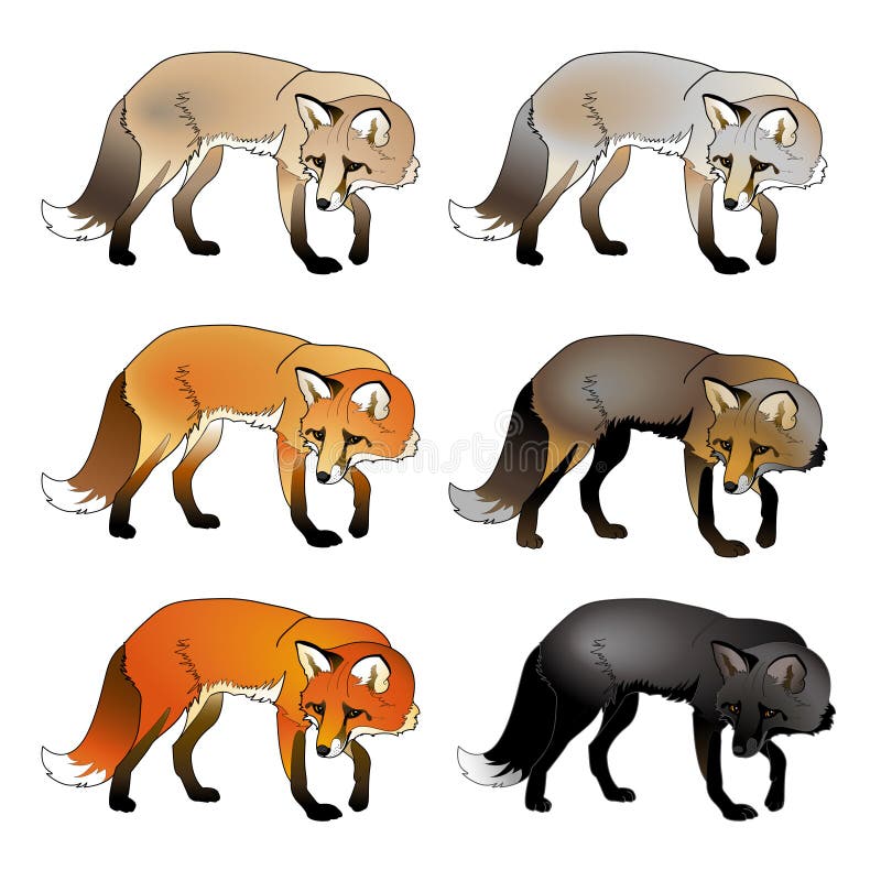 Vector set foxes stock vector. Illustration of colored - 85440698