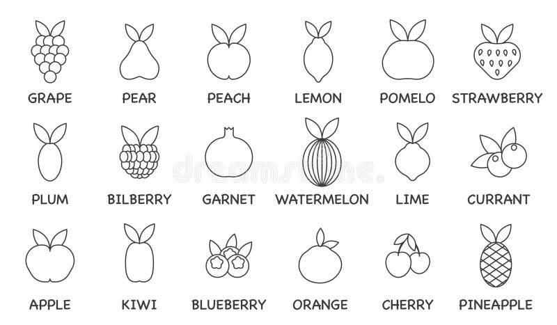 Vector Set of Fruit Icons. a Set of Fruits Stock Vector - Illustration ...