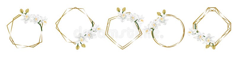 Vector Set of Gold Frames of Different Shapes and with White Orchid ...