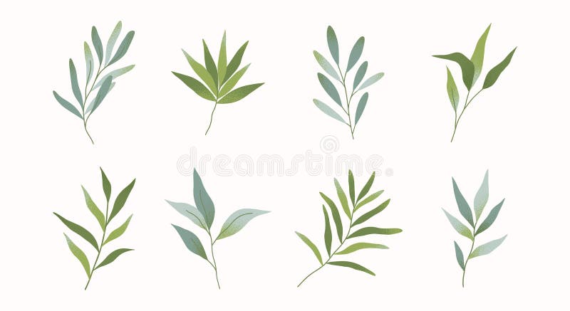 Vector Set of Green Summer or Spring Branches with Leaves.Simple ...