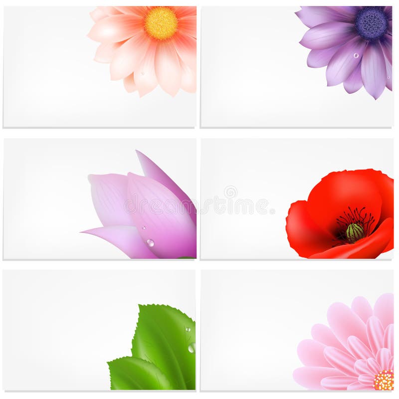 Vector Set of Greeting Cards with Flowers Stock Vector - Illustration ...