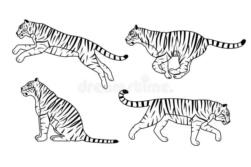 Outline Tigers Stock Illustrations – 1,063 Outline Tigers Stock ...