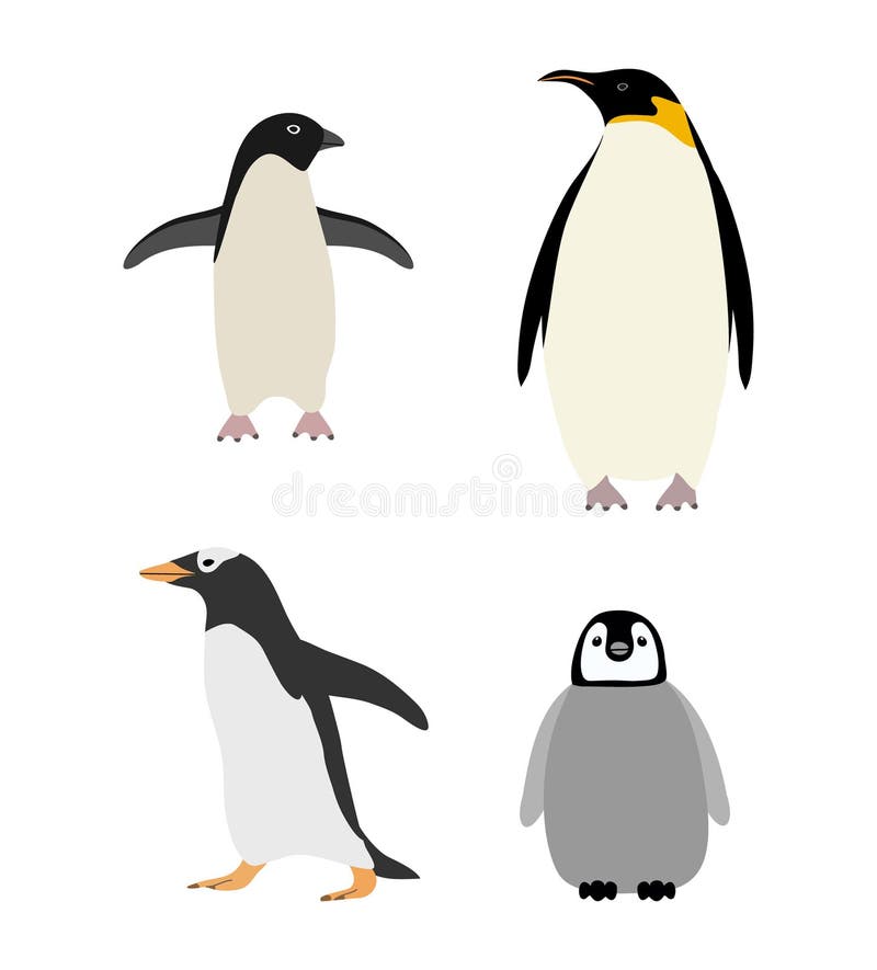 Vector Set of Hand Drawn Flat Penguin Stock Vector - Illustration of ...