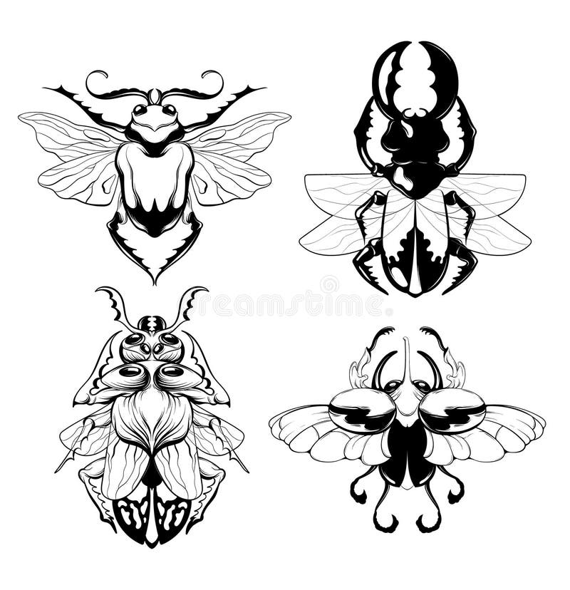 Vector Set of Hand Drawn Illustrations of Beetles with Wings Isolated ...