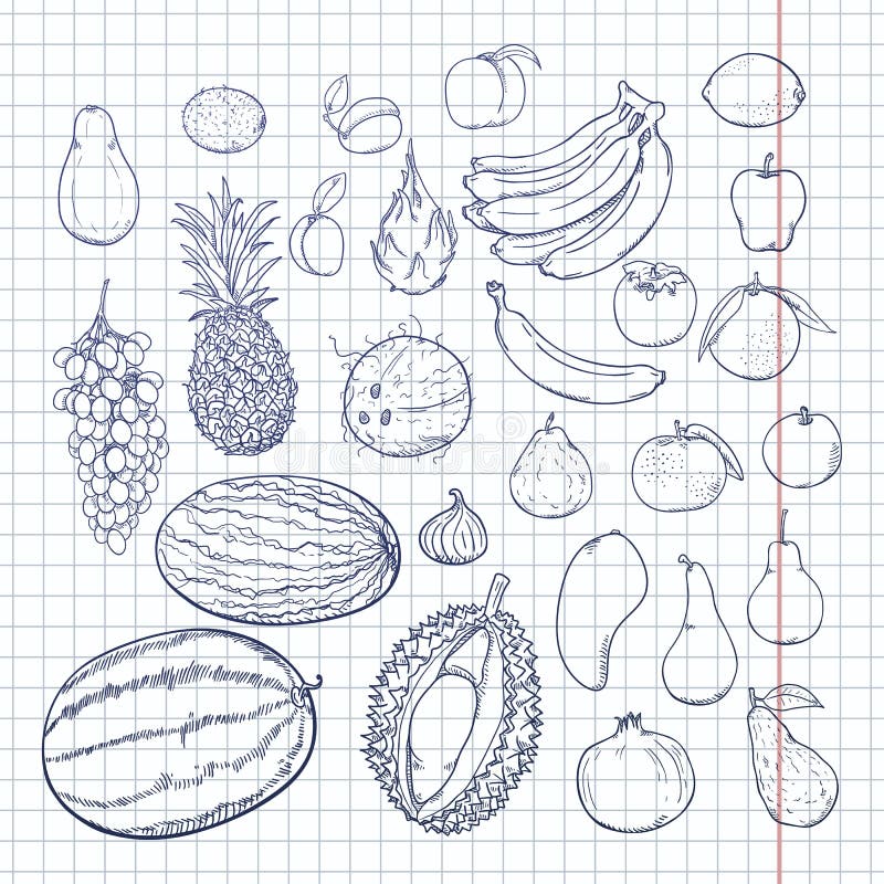 Vector Set of Hand Drawn Sketch Fruits Stock Vector - Illustration of ...