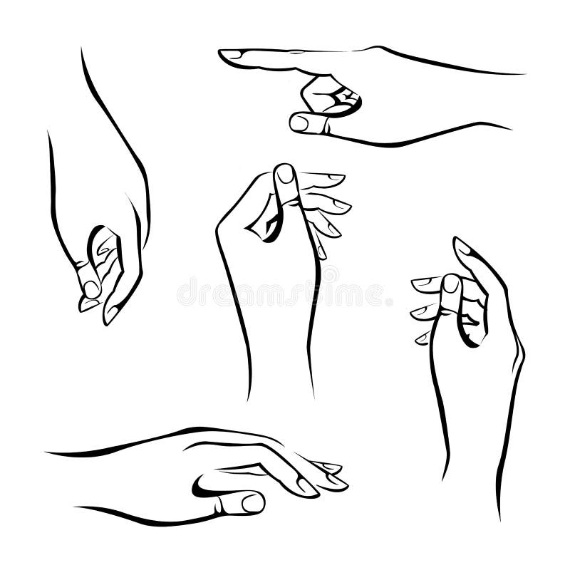 Vector Set of Hands in Different Positions. Stock Vector - Illustration ...