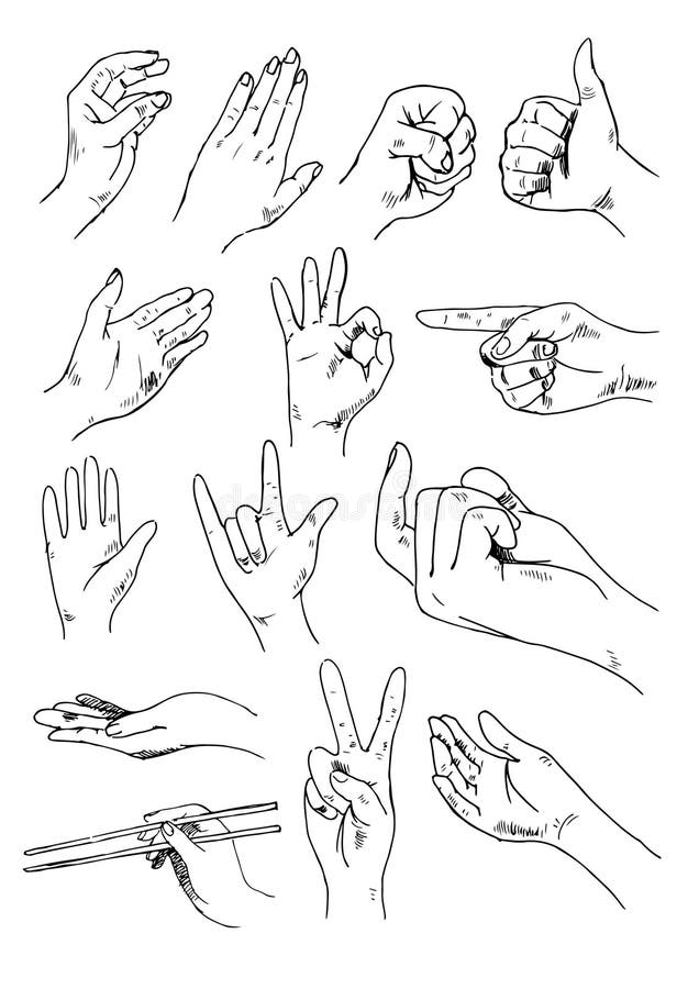 Counting Hands Outline Stock Illustrations – 177 Counting Hands Outline ...
