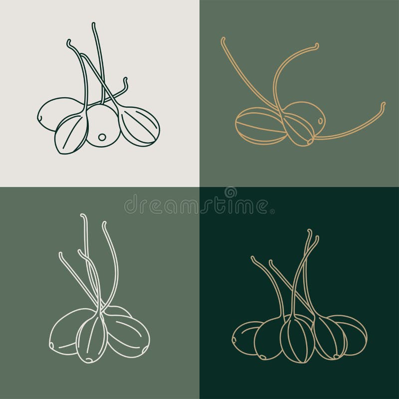 Vector Set Illustration Pickled Capers - Simple Linear Style ...