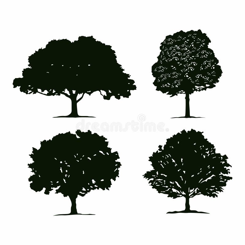 Vector Set Illustration of Tree Vintage Style Stock Vector ...