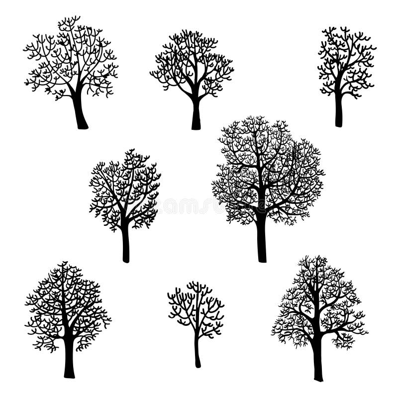 Bare Trees Illustration stock vector. Illustration of wood - 255277231