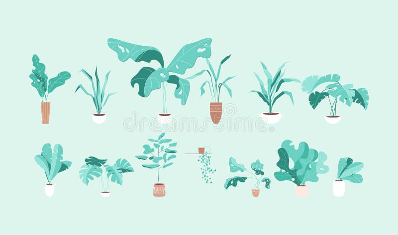 Vector Set Indoor Tropical Plants in Modern Style Stock Vector ...