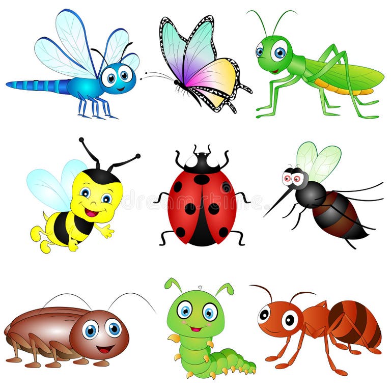 Insects Stock Illustrations – 88,331 Insects Stock Illustrations ...