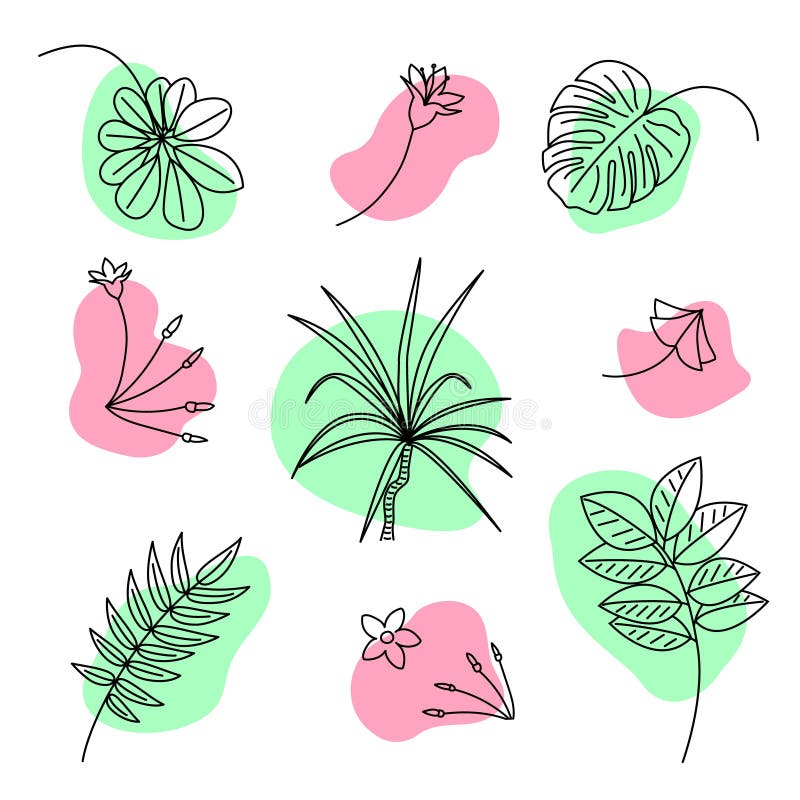 Leaves of Plants, Contour, Set Stock Vector - Illustration of isolated ...
