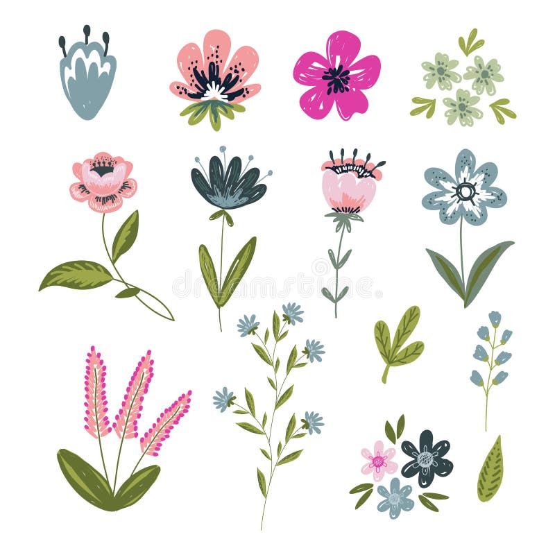 Vector Set of Isolated Floral Elements with Hand Drawn Flowers. Botany ...