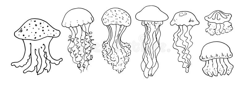 Vector Set of Jellyfish. Hand-drawn Jellyfish in a Sketch Style of ...
