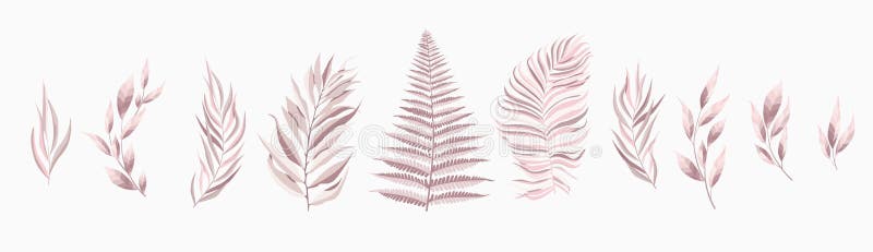 Vector Set Leaf. Pink Leaves on White Background. Vector Illustration ...