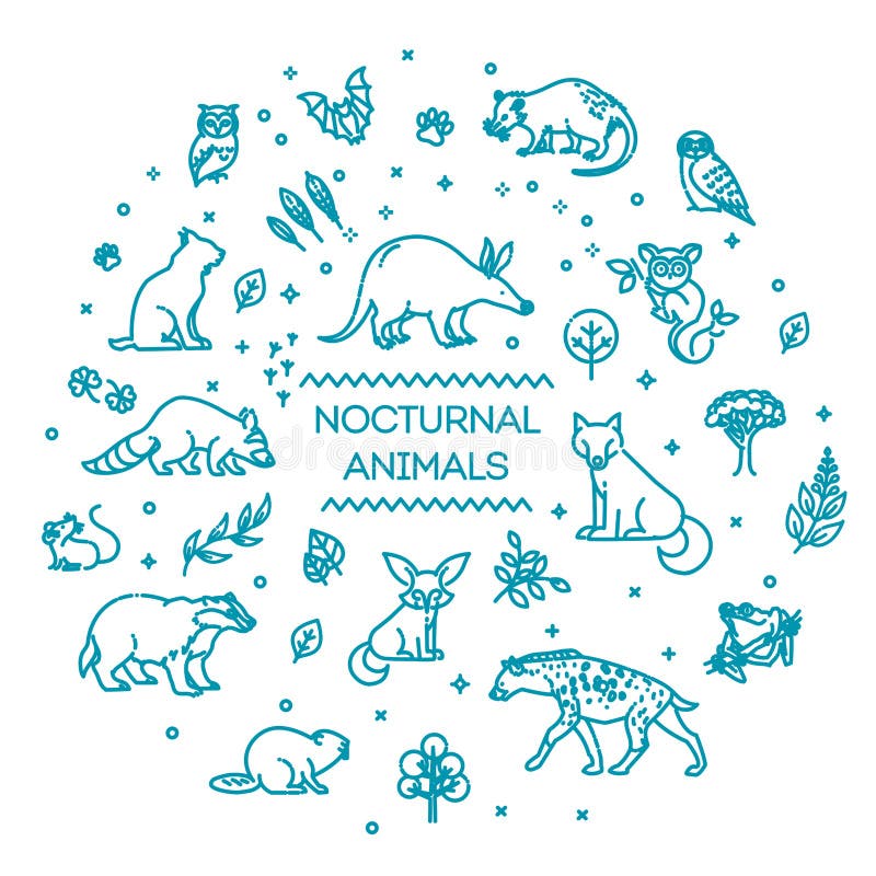 Nocturnal Animals Stock Illustrations – 501 Nocturnal Animals Stock ...