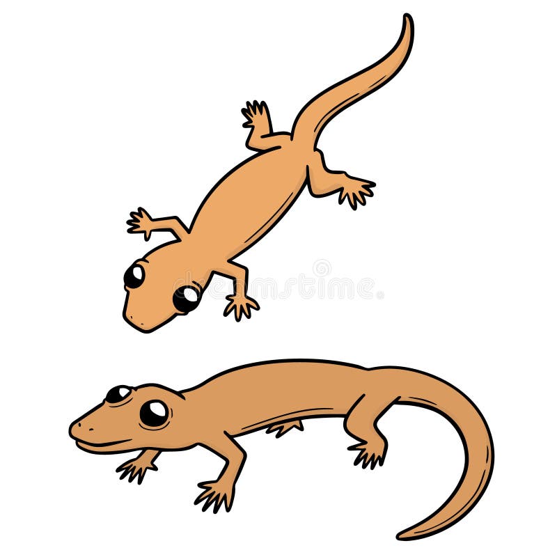 Vector set of lizards stock vector. Illustration of collection - 121028751