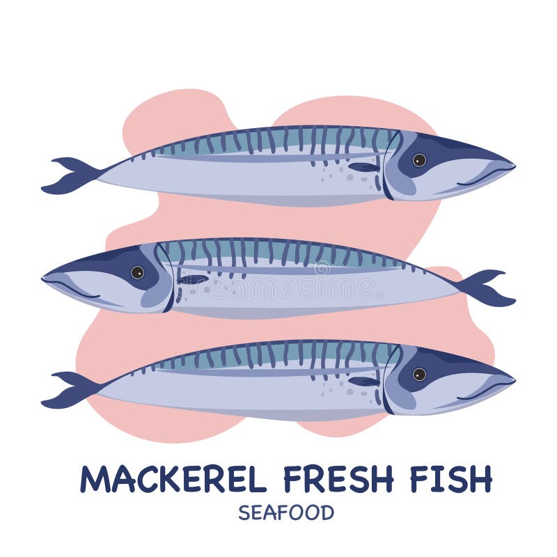 Vector Set of Mackerel Fresh Fish for Mediterranean Cuisine. Seafood ...