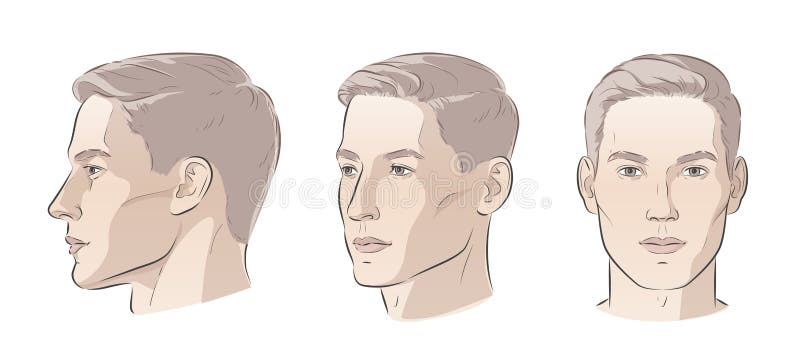 Man Face Portrait Three Different Angles and Turns of a Male Head. Bald ... Man Face Portrait Three Different Angles and Turns of a Male Head. Bald ...