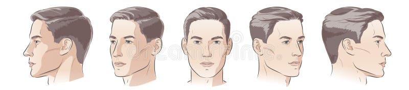 Man Face Portrait Three Different Angles and Turns of a Male Head. Bald ...