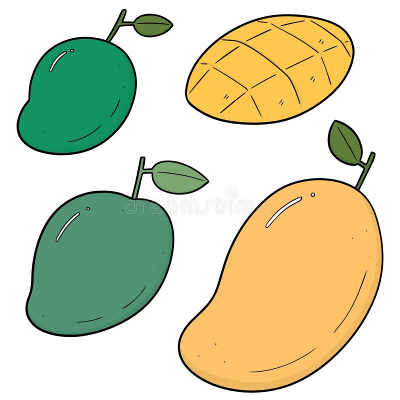 Vector set of mango stock vector. Illustration of draw - 121028769