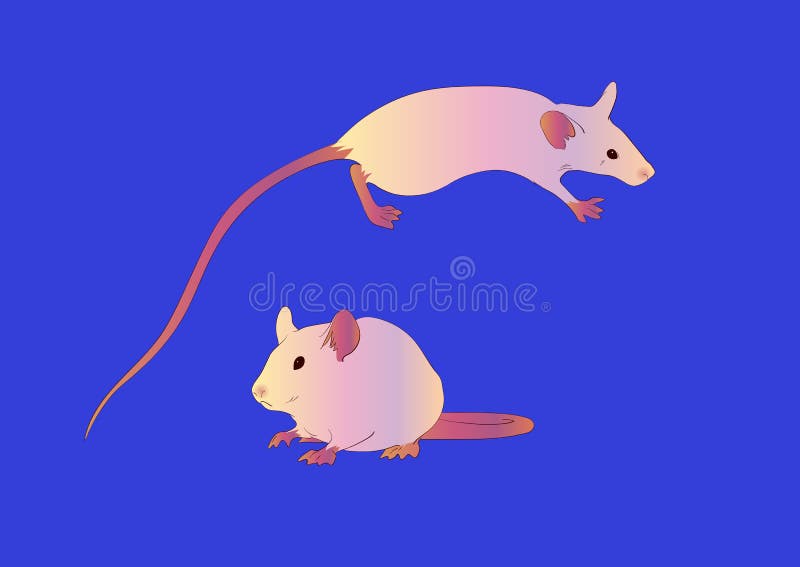 Vector Set of Mouse in Different Poses. Small Cartoon Rodent Animal ...