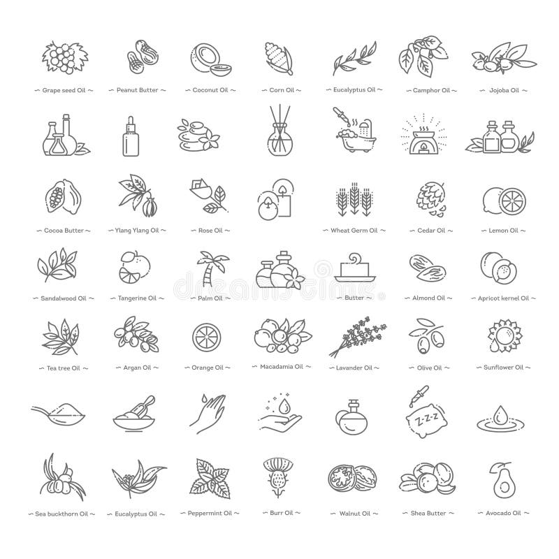 Vector Set of Natural Ingredients and Oils for Cosmetics in Linear ...