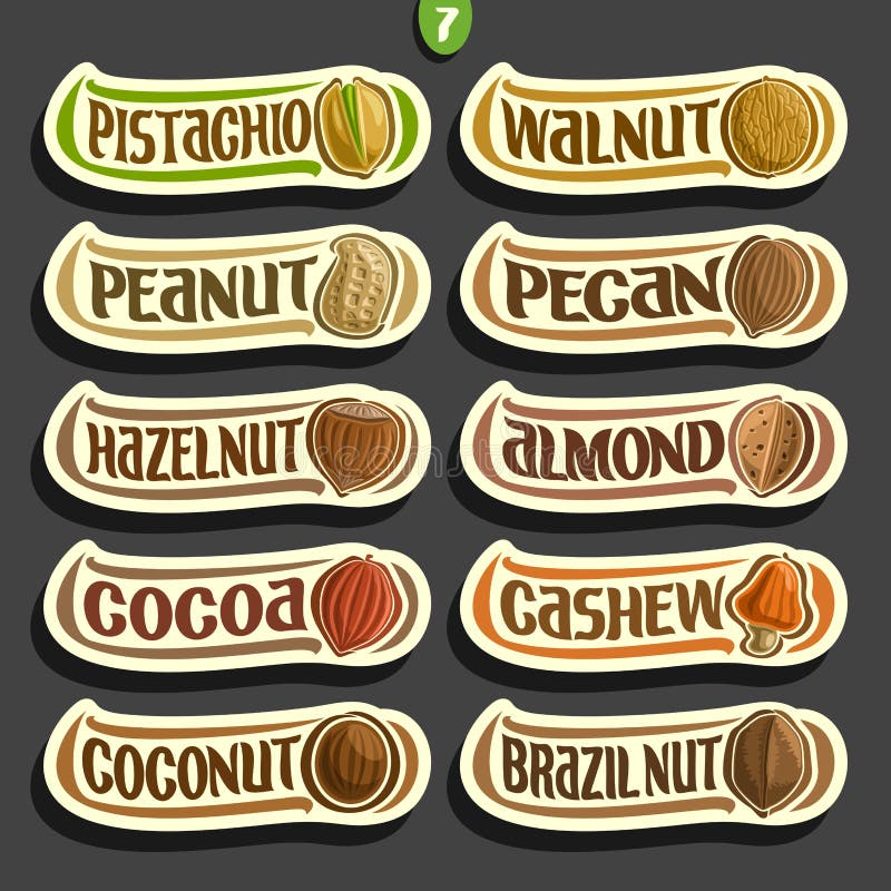 Vector Set of Nuts labels stock vector. Illustration of hazelnut - 99624988