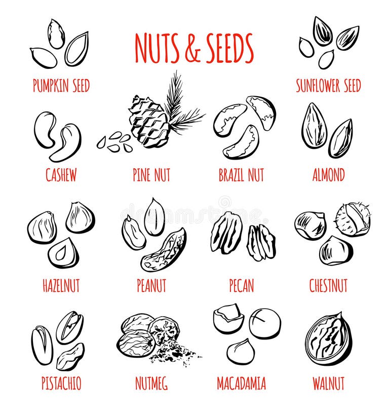 Seed Doodle Set Stock Illustrations – 6,710 Seed Doodle Set Stock ...