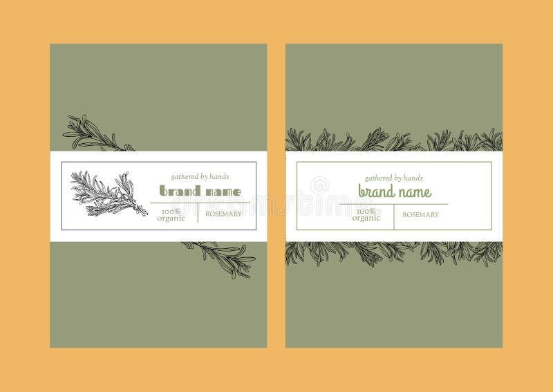 Vector Set of Package Design with Rosemary Hand Drawn Elements Stock ...