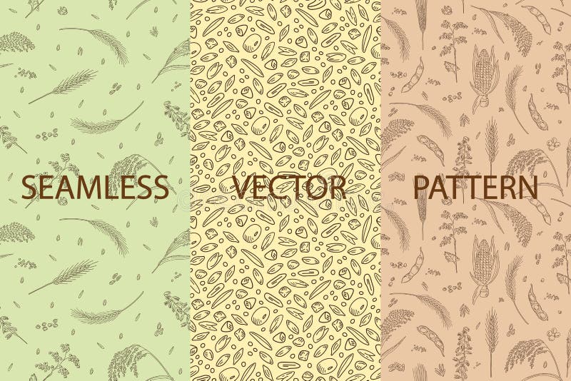 Vector Set of Packaging Design Templates, Seamless Patterns Stock ...