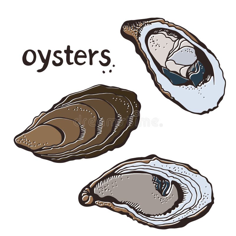 Vector Set of Painted Oysters Isolated on a White Background Stock ...