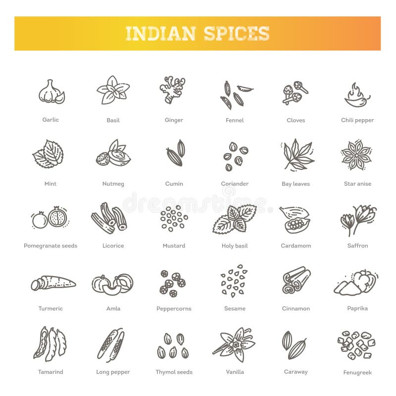 Vector Set of Popular Indian Spices Stock Vector - Illustration of ...